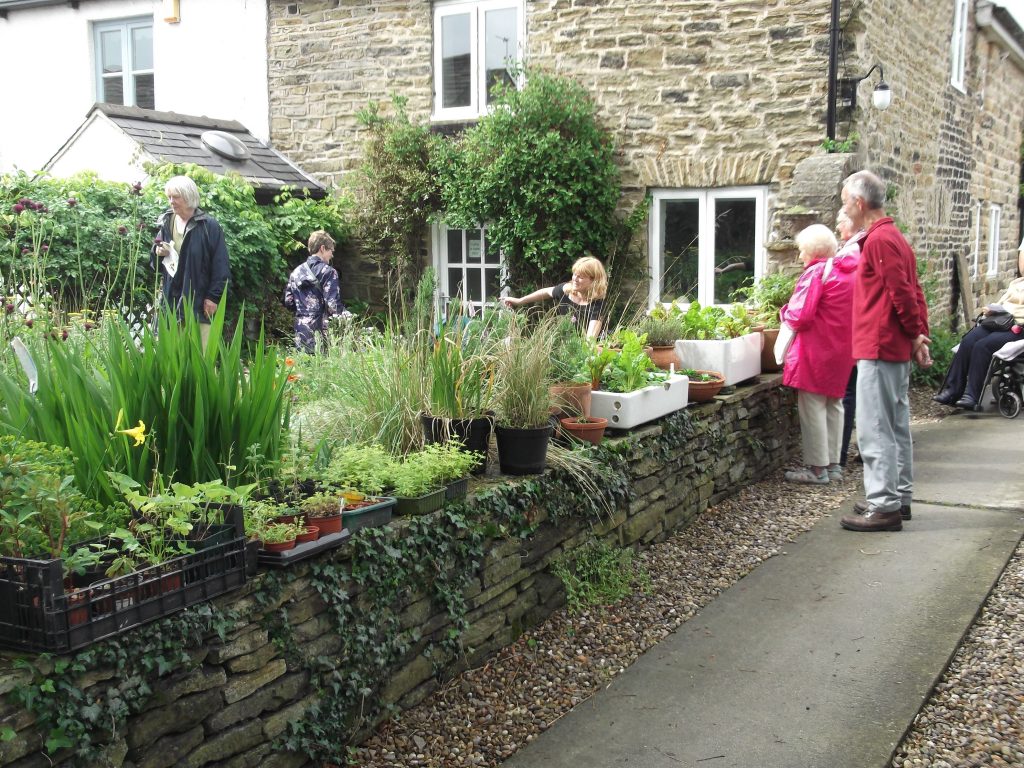Open Gardens Gallery – Greenhill Community Library